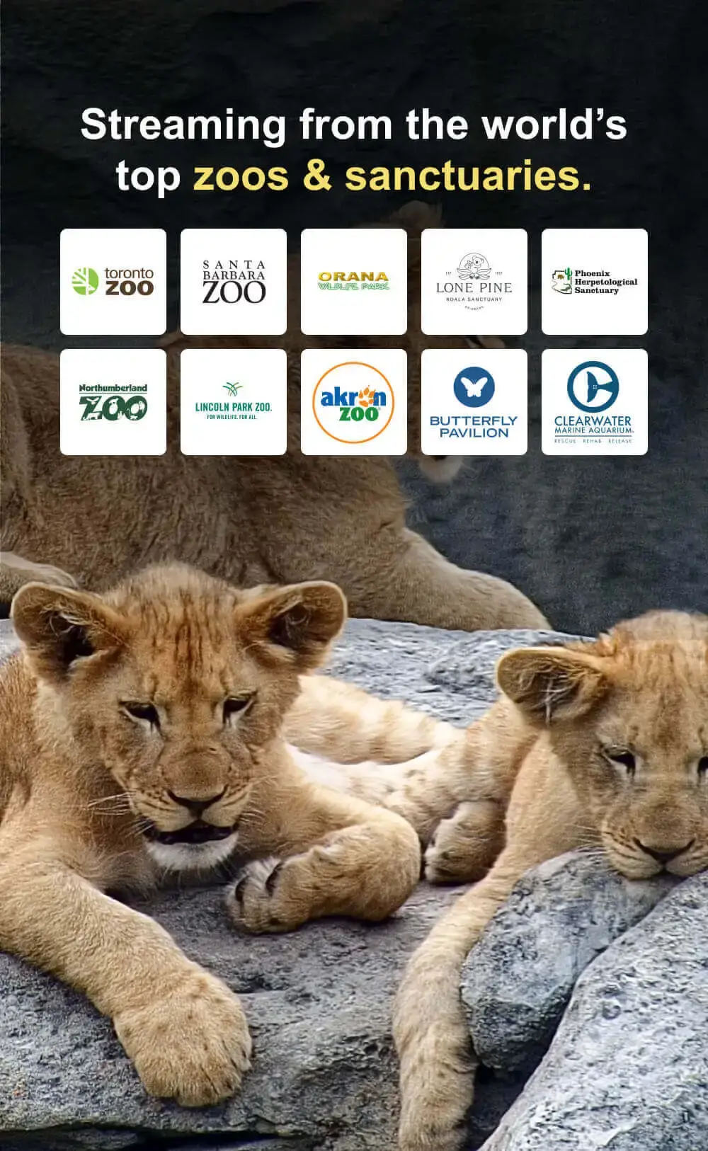 zoolife - The world's first live and interactive virtual zoo.