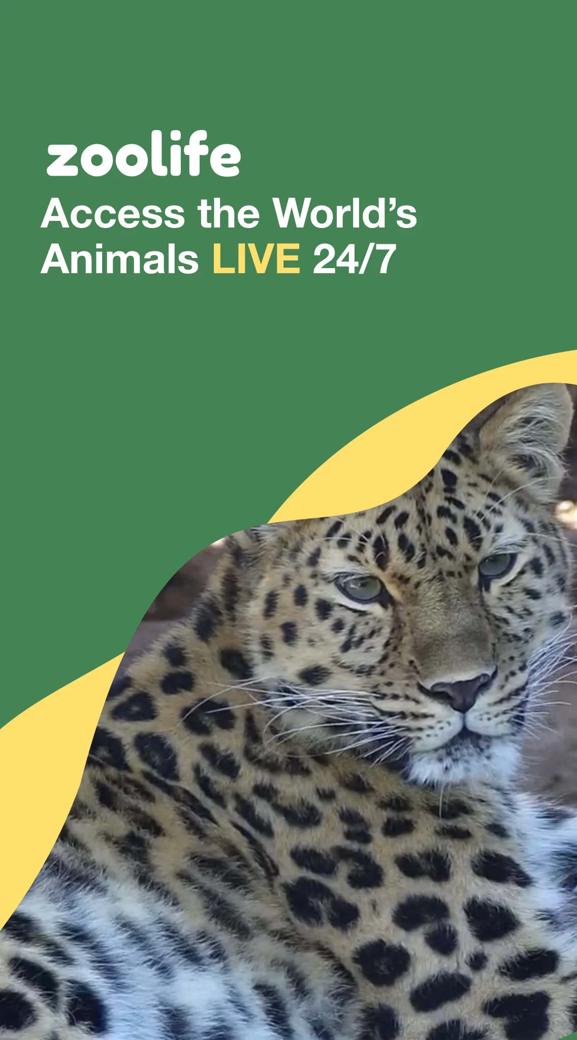 zoolife - The world's first live and interactive virtual zoo.